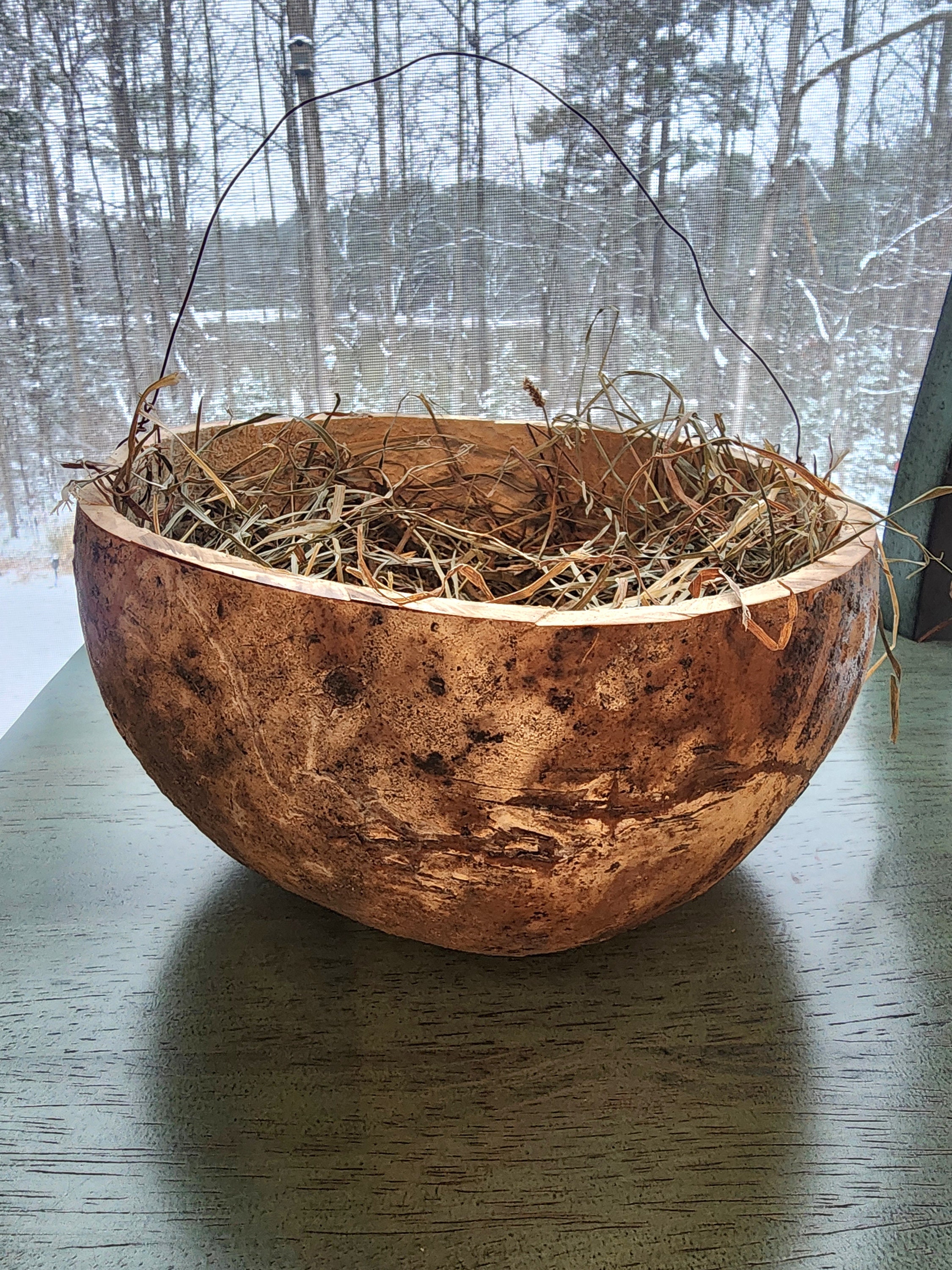 DIY Forest Crafting Kit, Craft Lovers Gift, Unique Decor Kits - Etsy