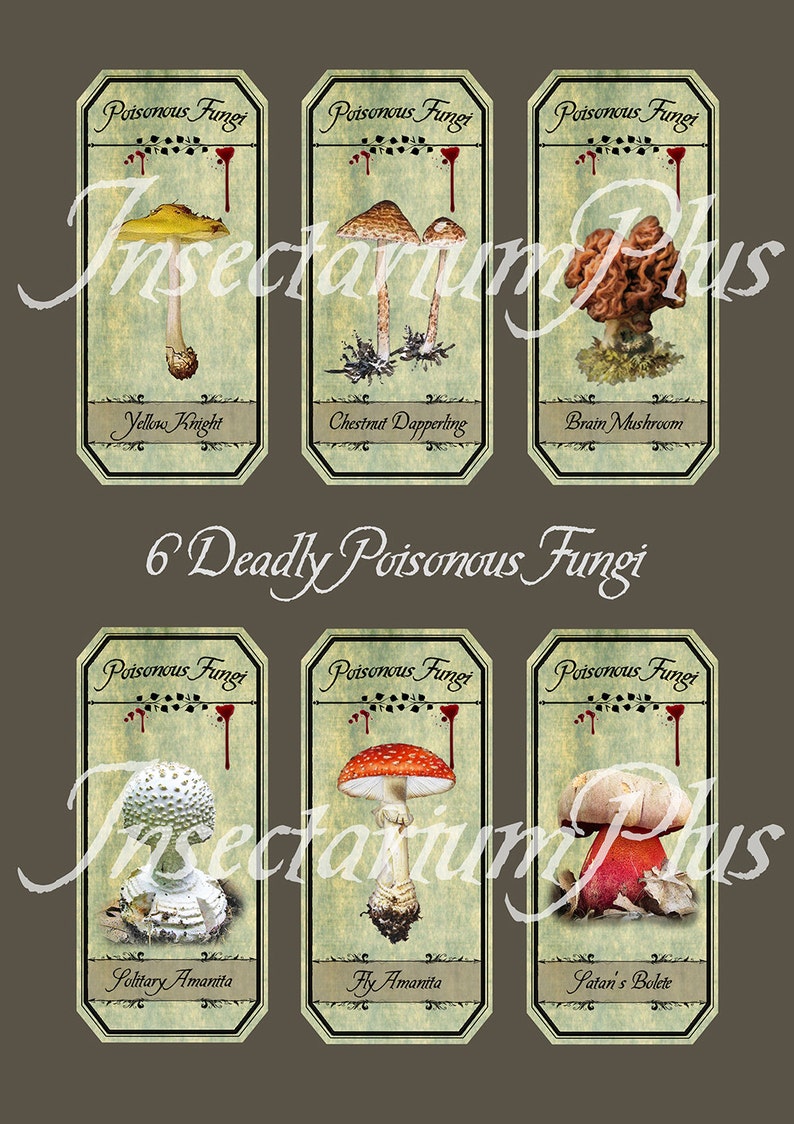 6 Poisonous Mushroom Tags Vintage Botanical Apothecary Labels Deadliest ...