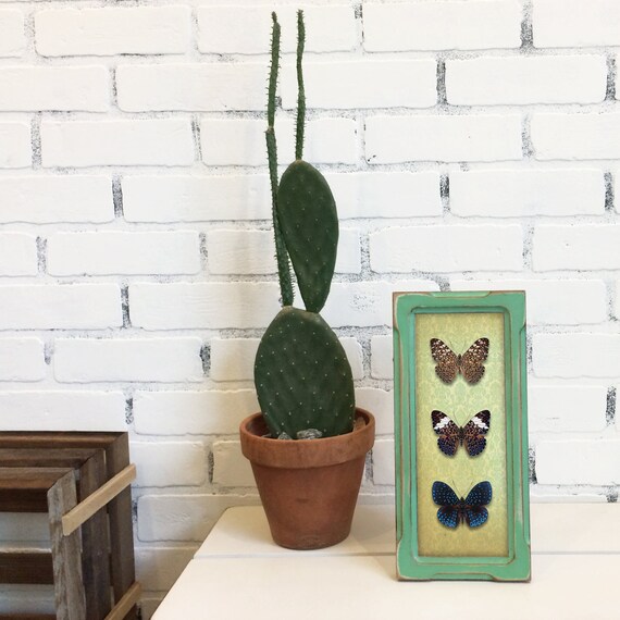 Set of 3 Realistic Looking Real Life Sized Butterfly Poster | Etsy