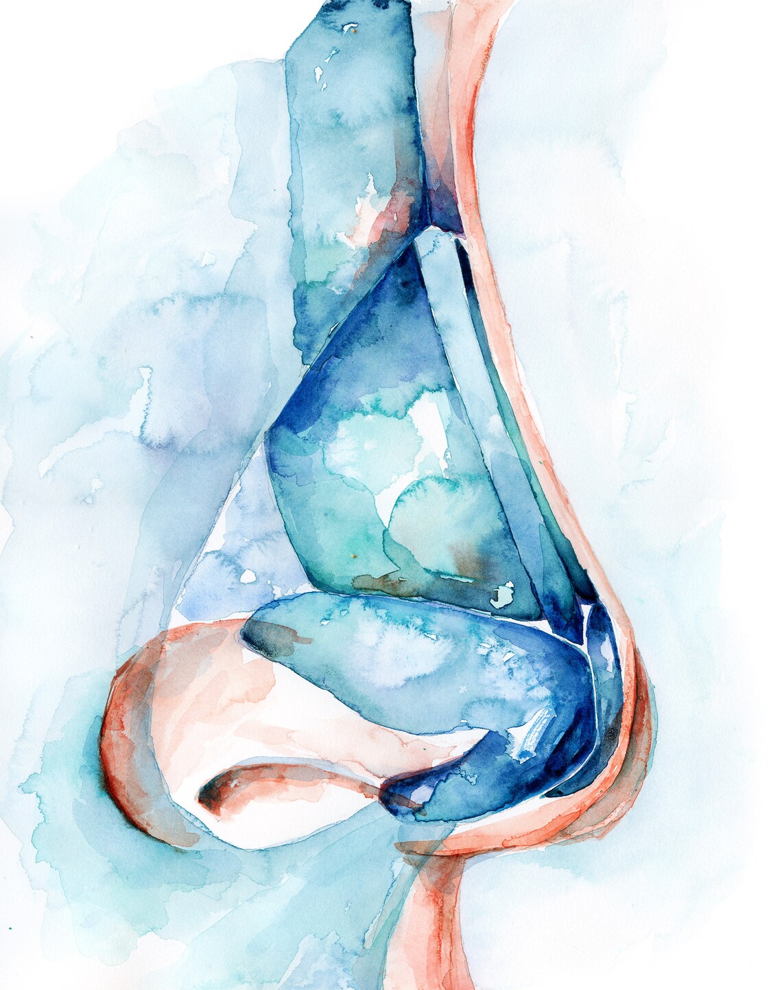 Nose Anatomy Watercolor Art Print ENT and Plastic Surgery | Etsy