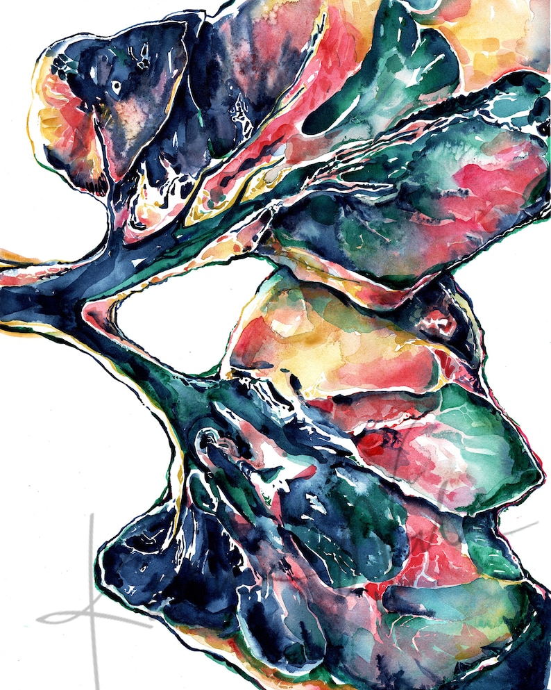 Lung Dissection Watercolor Print Lung Art Respiratory Art - Etsy