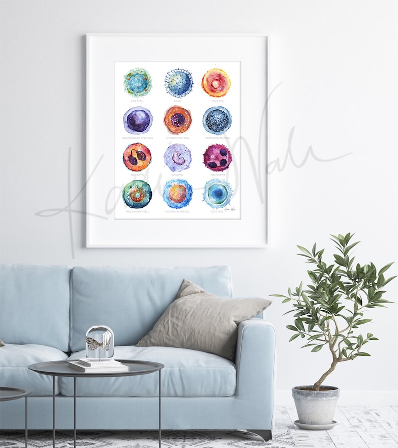Cells Watercolor Poster - Cell Paintings - Blood Cells - Hematology Art ...