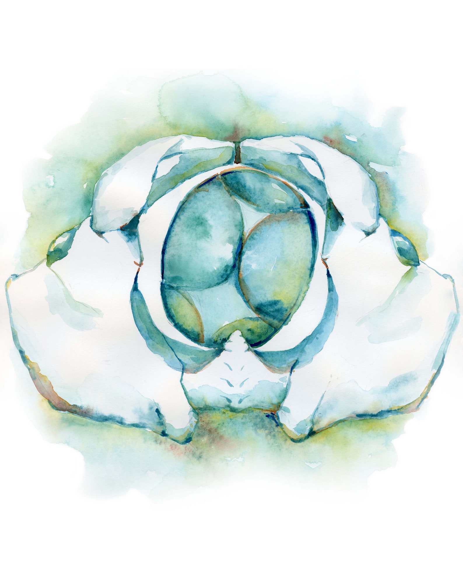 Crowning Pelvis and Fetal Skull Art OBGYN and Female - Etsy