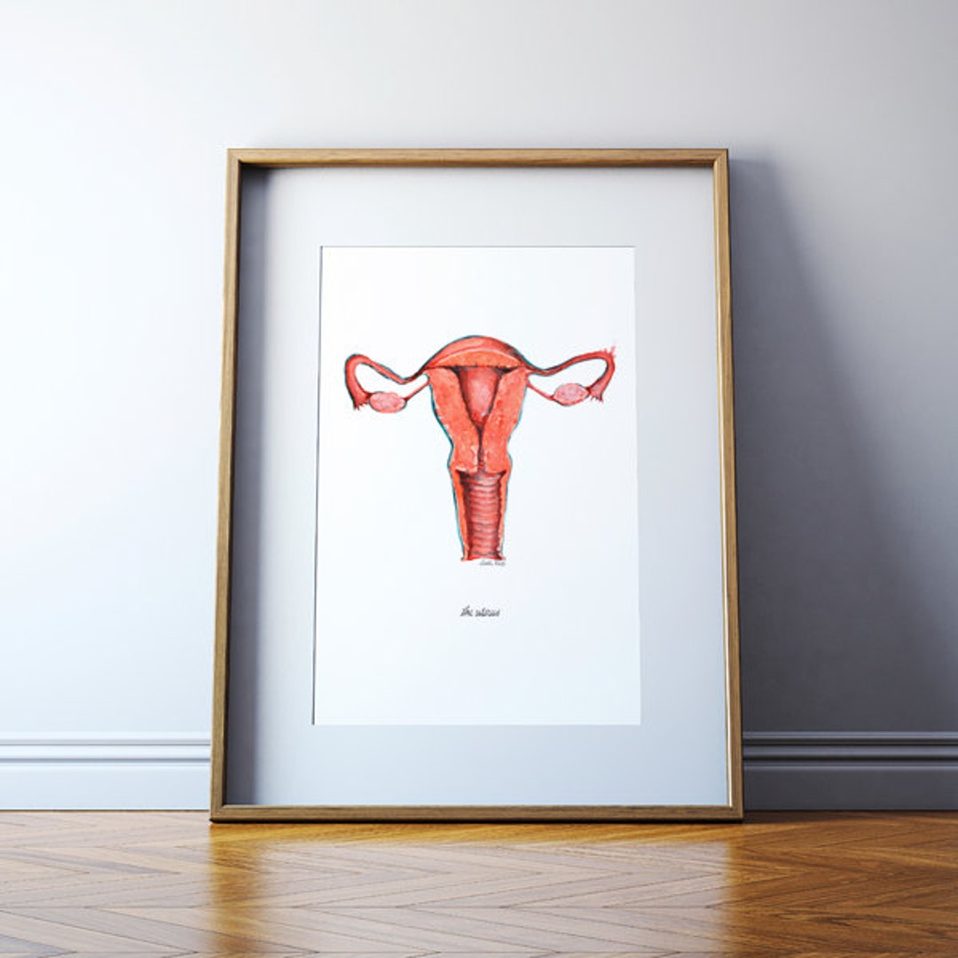 Uterus Watercolor Print - Uterus Art - OBGYN Art - Anatomy Art Print - Etsy
