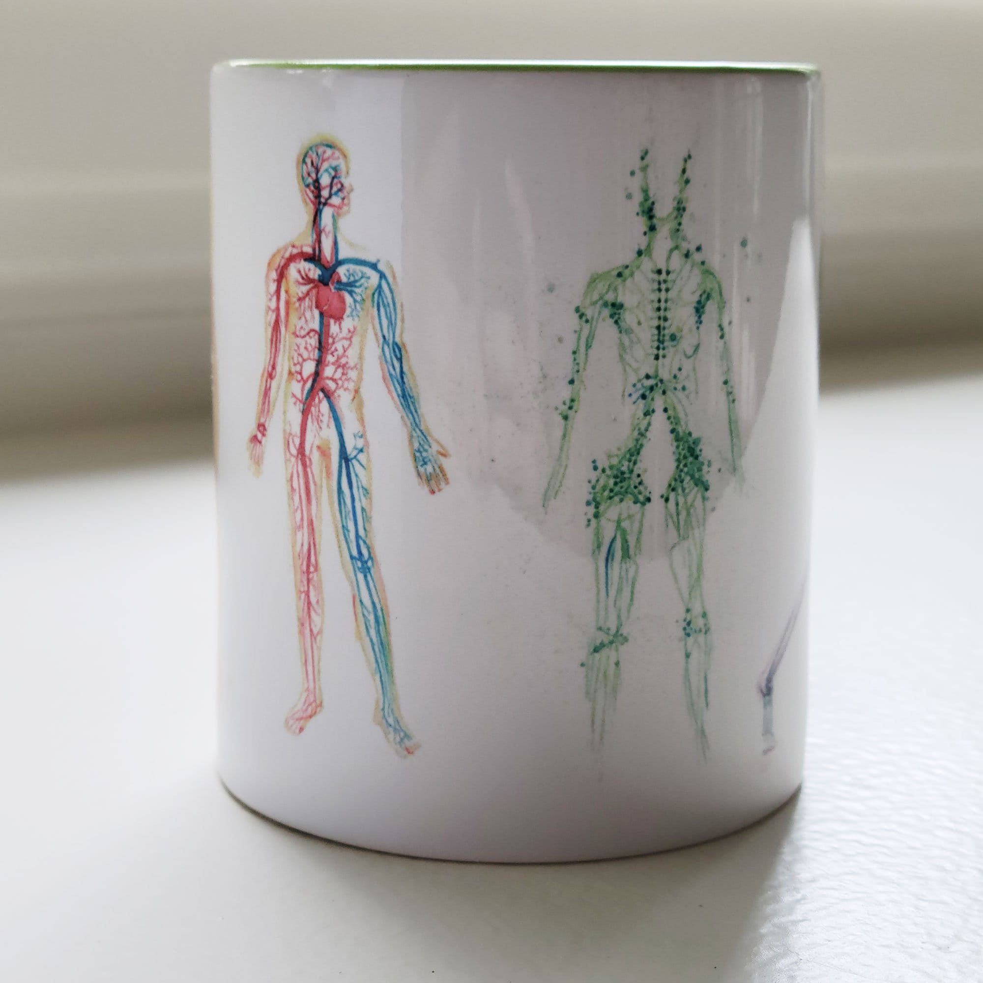 Body Systems in Color Anatomy Mug - Nervous System, Lymphatic System ...