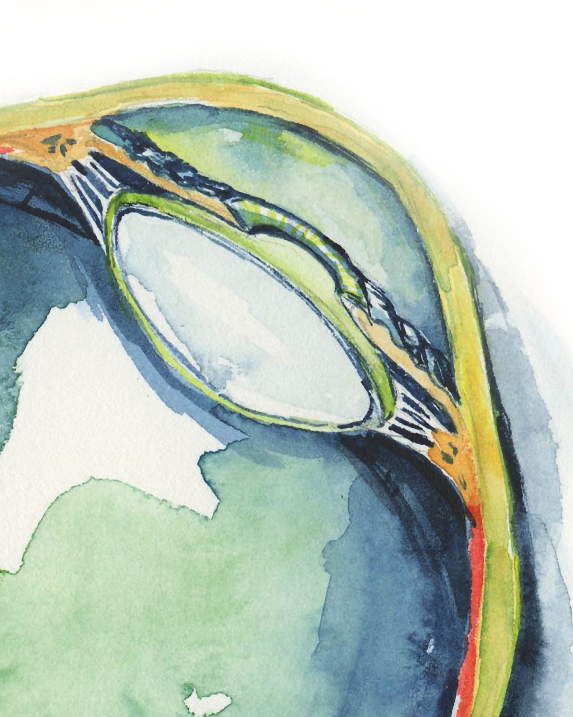 Eye Mind Body Connection Watercolor Set Anatomy Art Set | Etsy