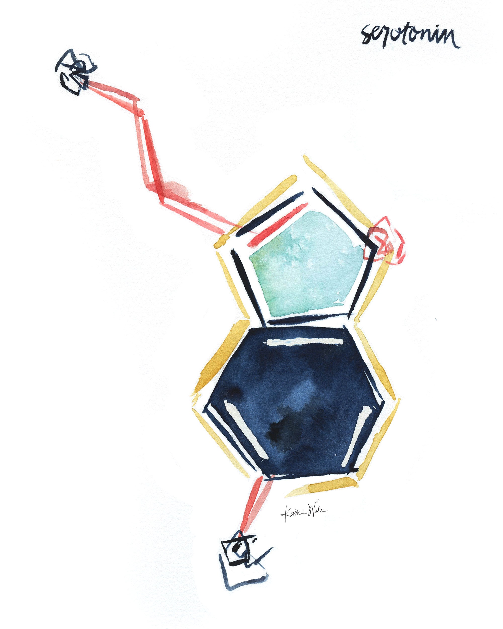 Serotonin Watercolor Print Happy Hormones Abstract Anatomy | Etsy