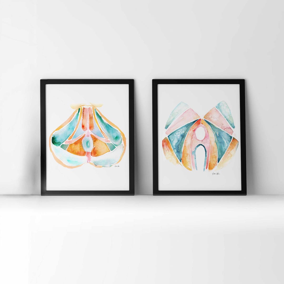 Female and Male Pelvic Floor Set - PT Art - Perineum Muscle Anatomy Art ...