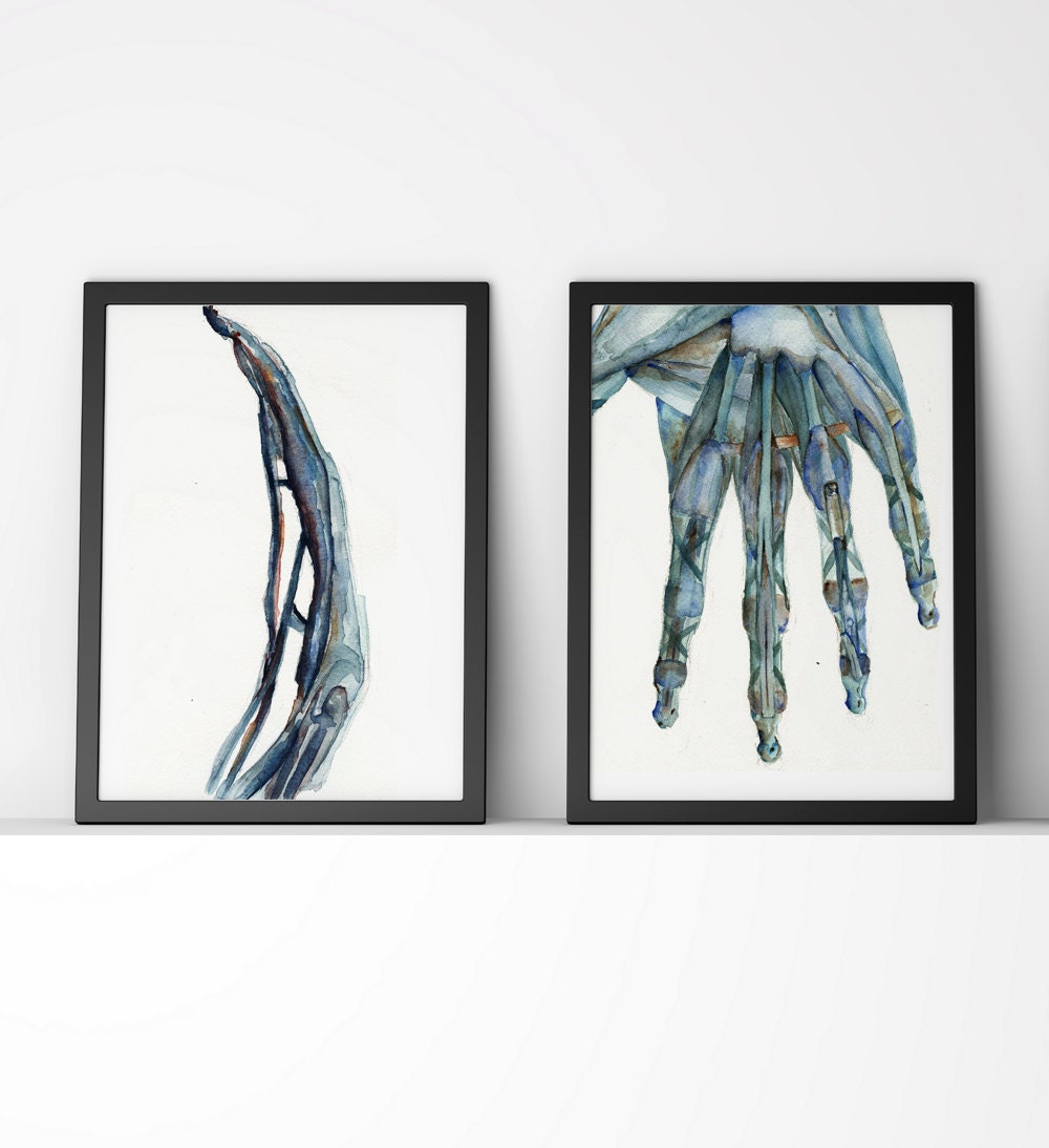 Hand Anatomy Two Print Art Set - Hand and Finger Watercolor Art Set ...