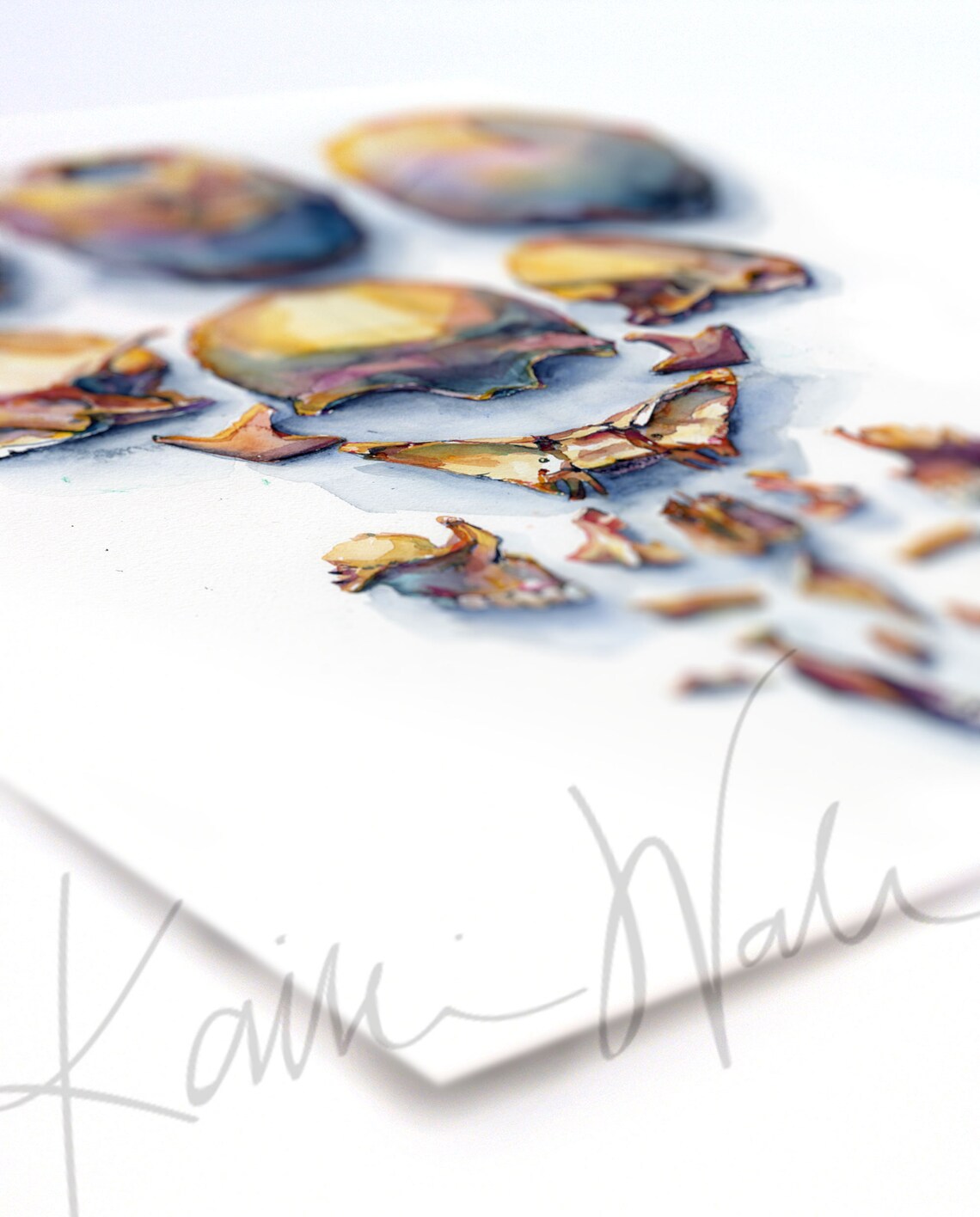 Exploded View of Skull I Watercolor Print Skull Art Bones - Etsy