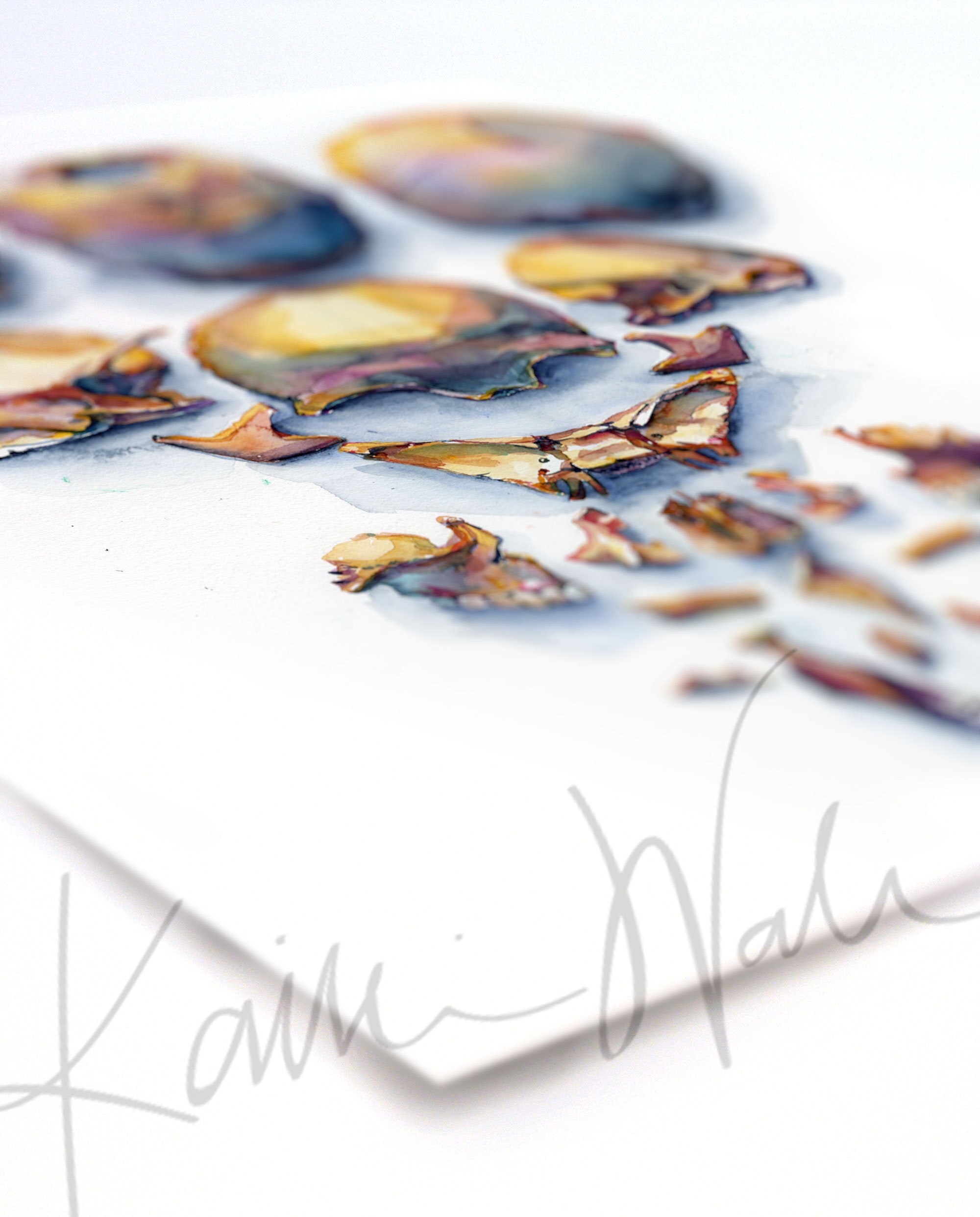 Exploded View of Skull I Watercolor Print Skull Art Bones - Etsy