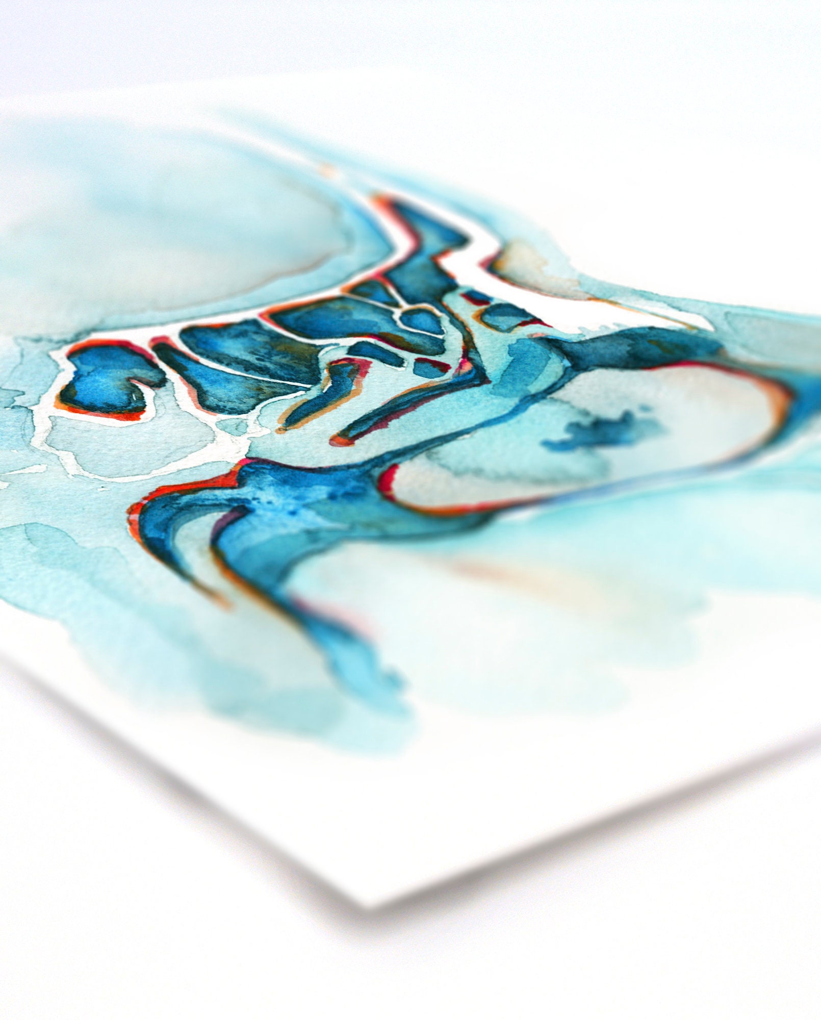 Sagittal Section of the Sinuses Watercolor Art Print ENT and | Etsy UK
