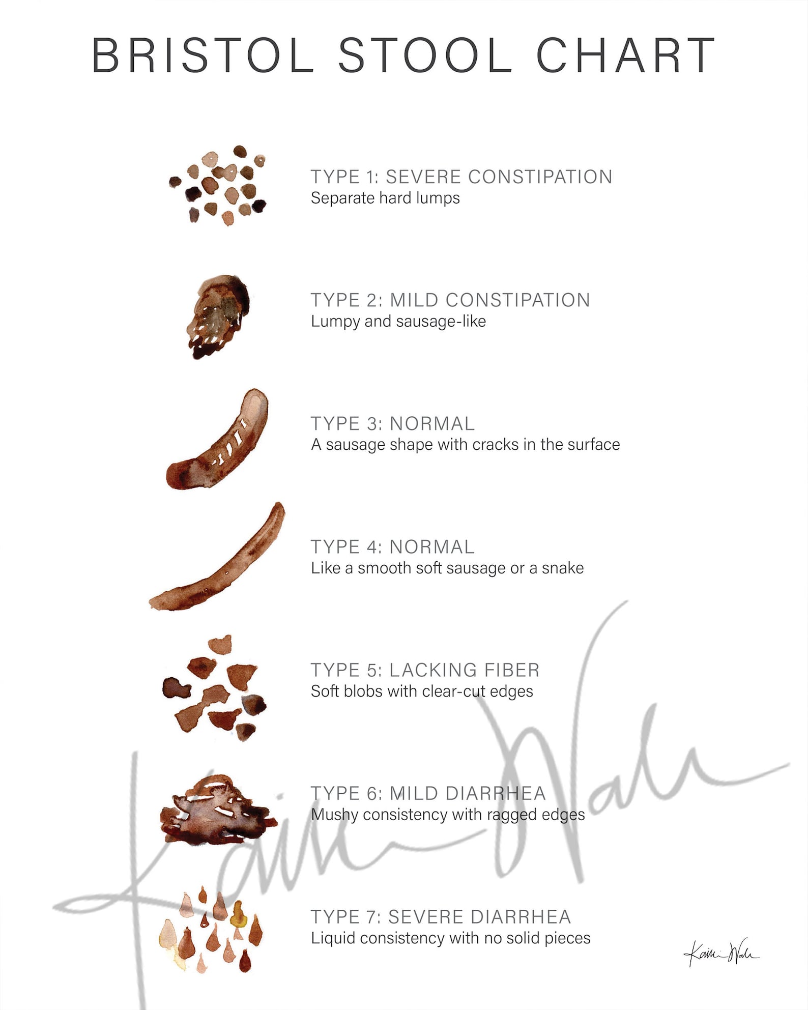 Bristol Stool Chart Watercolor Print - Stool Chart - GI Painting - Poop ...
