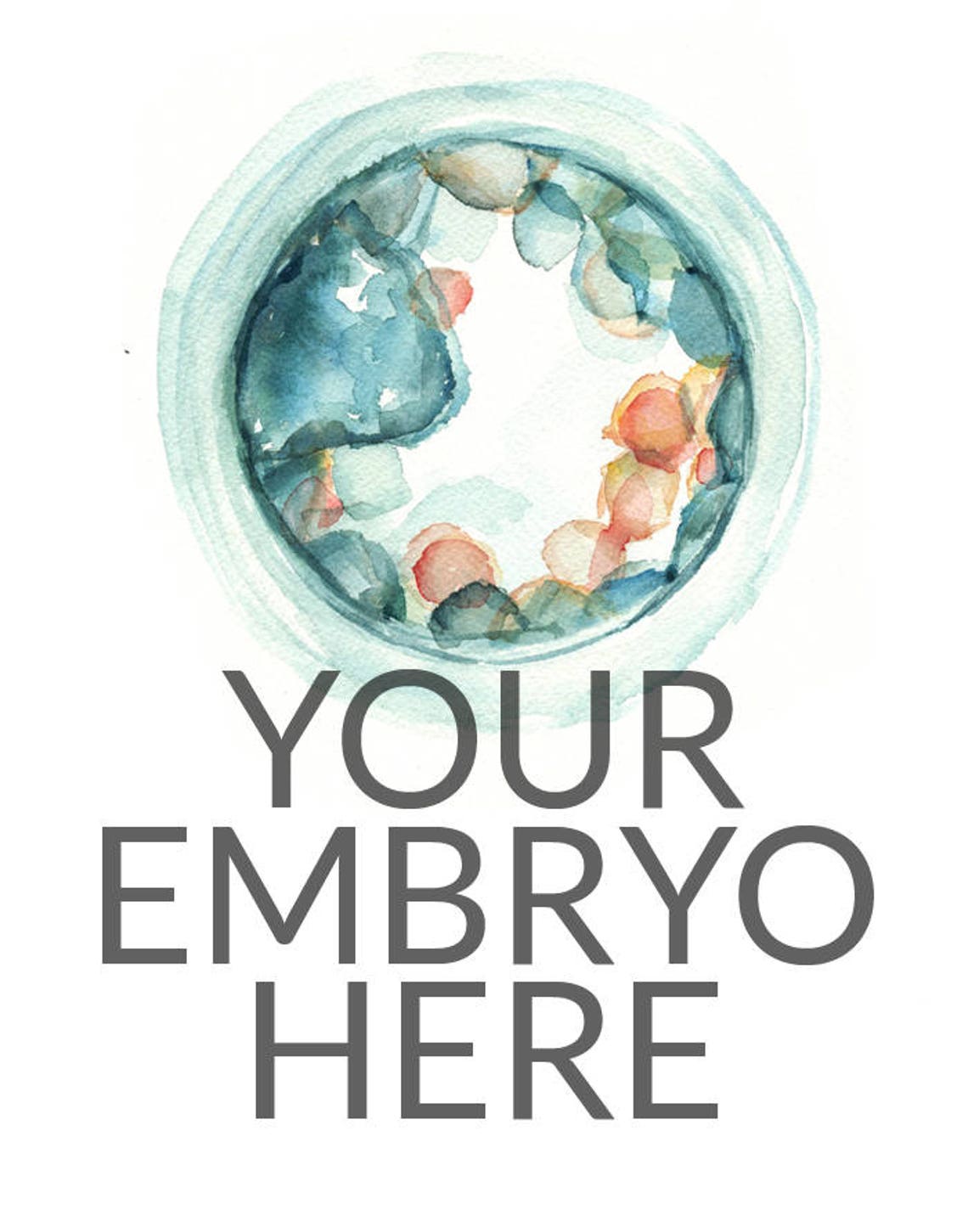 Custom Embryo Watercolor Commission an Original Painting of | Etsy