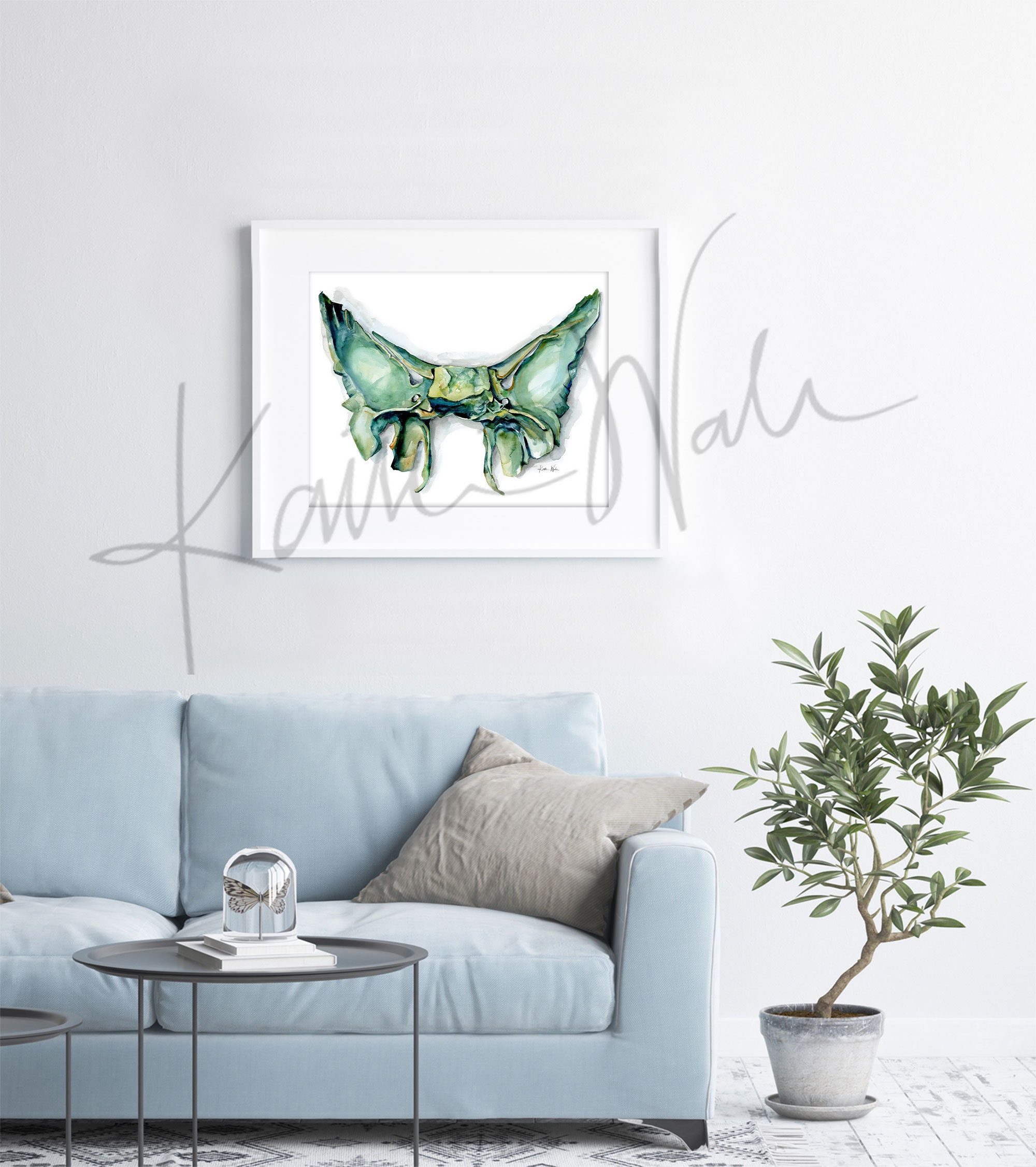 Sphenoid Watercolor Print - Bone Art - Neurology Art - Orthopedic Wall ...
