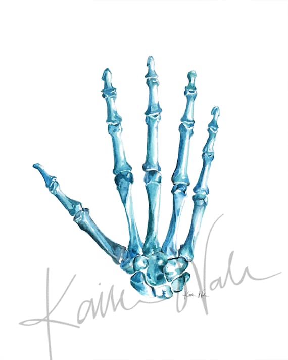 Hand Botten Anatomie Figuur 4. De Handwortelbeentjes En