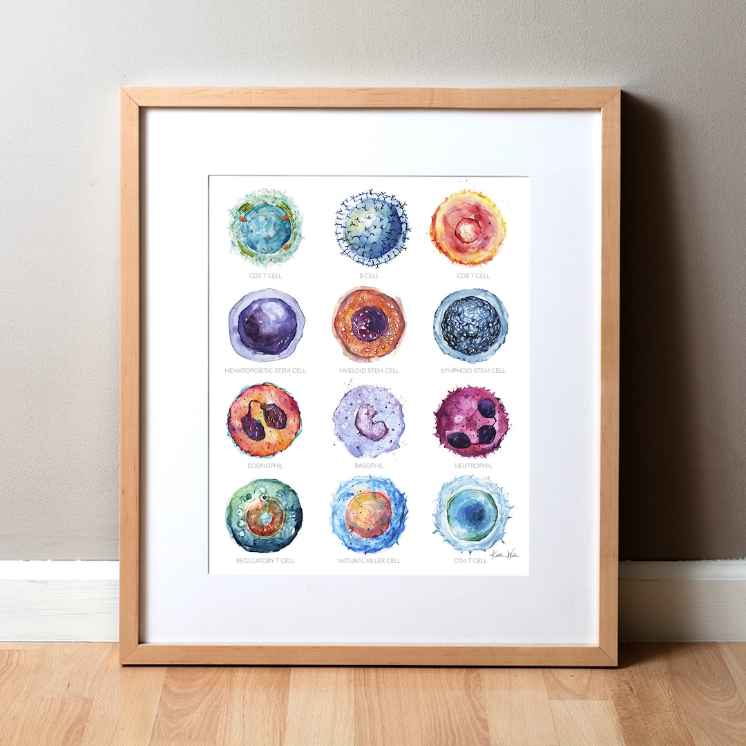 Cells Watercolor Poster - Cell Paintings - Blood Cells - Hematology Art ...