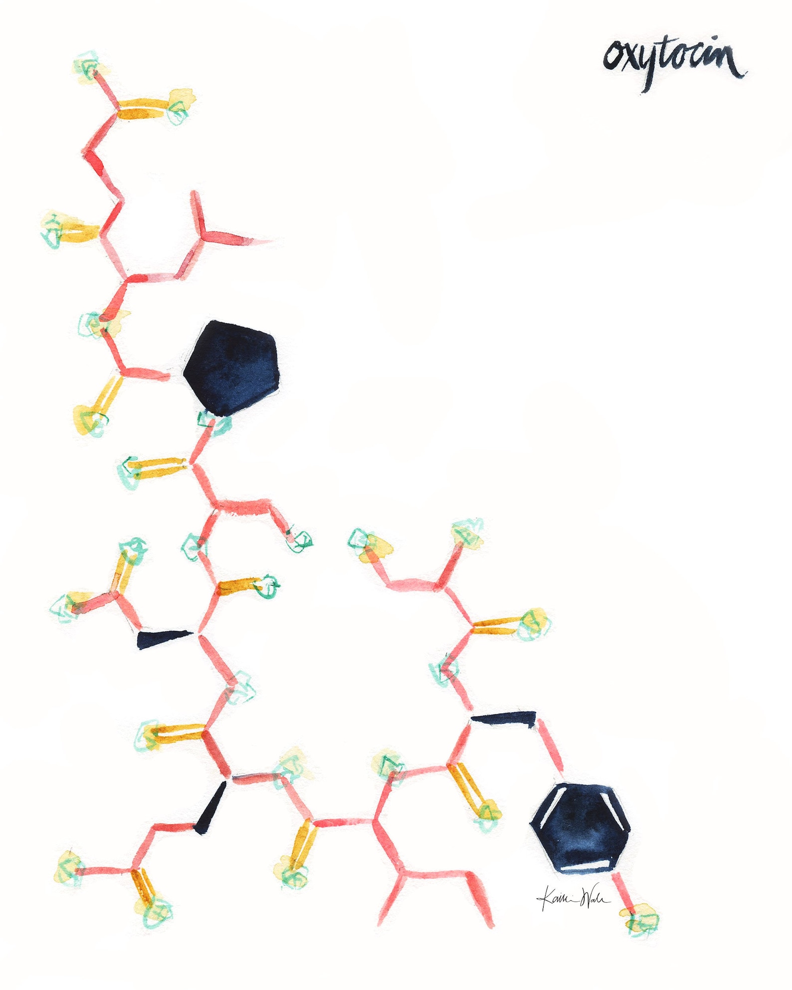 Oxytocin Watercolor Print - Happy Hormones - Abstract Anatomy Art Print ...