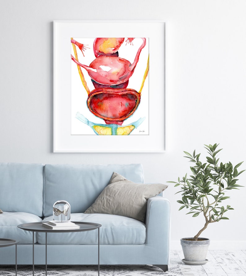 Female Pelvic Stack Anatomy Watercolor Print - Rectum, Uterus, Bladder ...