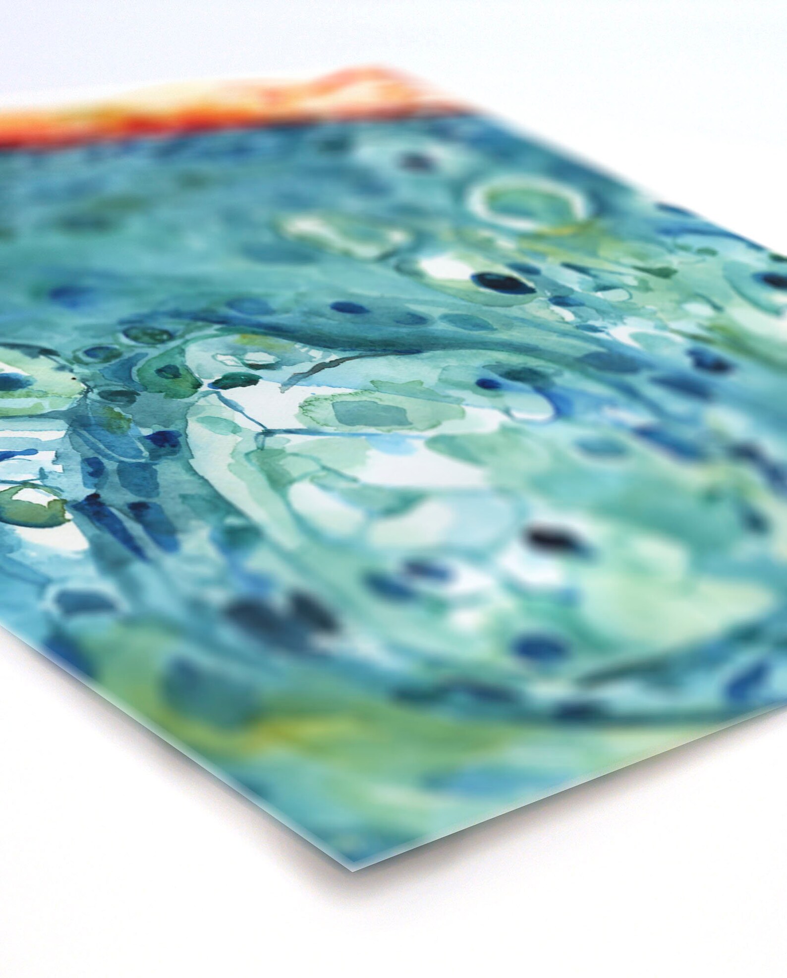 Squamous Watercolor Print - Skin Cell Art - Integumentary System ...