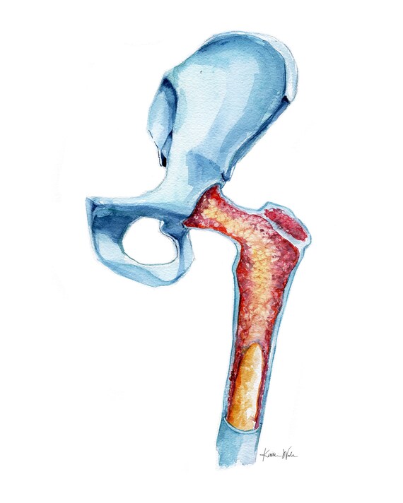 Right Femur Unlabeled