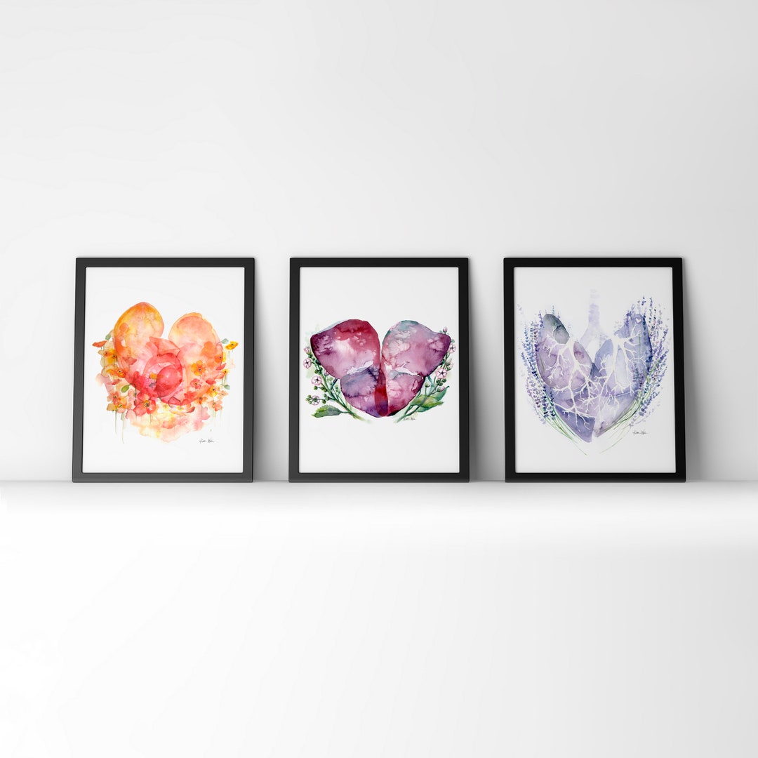 Organ Love Watercolor Print Set - Transplant Art - Kidney Lung Liver ...