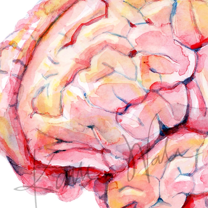 Brain Disease Prevention Watercolor Print Neurology Art - Etsy
