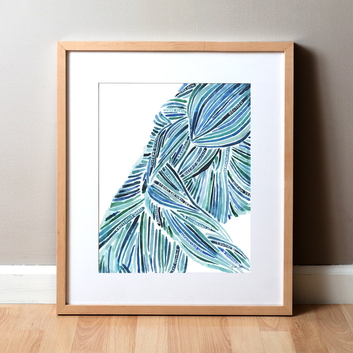 Muscle Anatomy Watercolor Print - Muscle Painting - Labeled Muscle ...