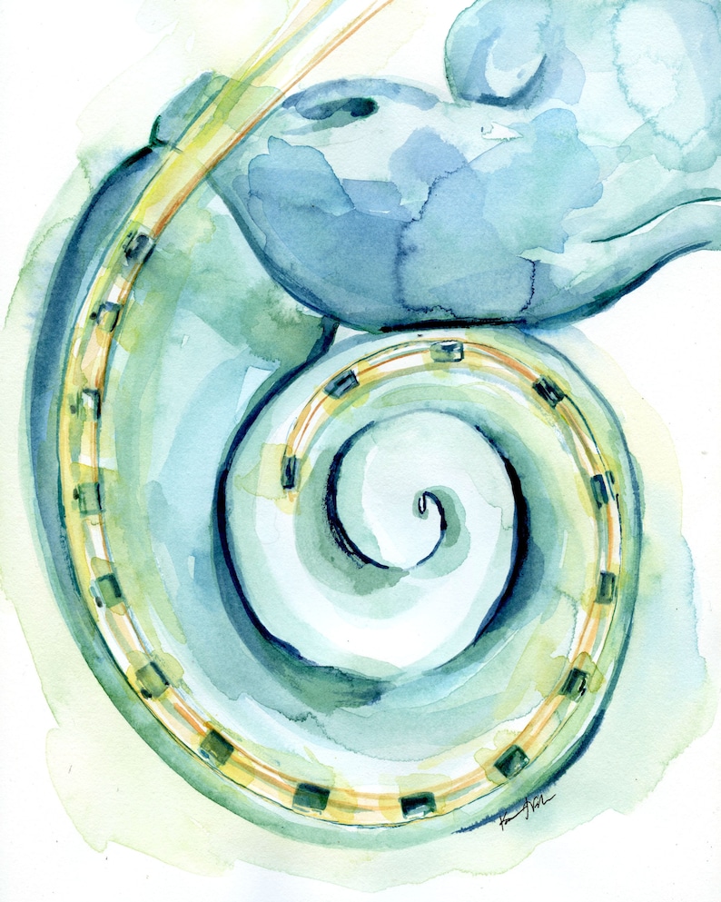 Cochlear Implant Electrode Array Watercolor Print Audiology - Etsy
