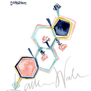 Testosterone Hormone Watercolor Painting - Male Hormones - Hormone ...