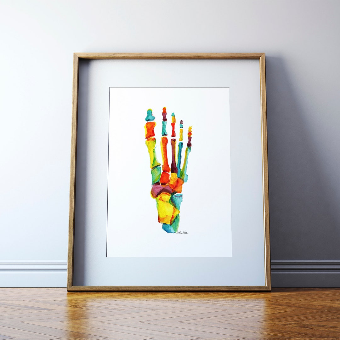 Bones of the Foot in Summer Colors - Foot Anatomy Print - Podiatry ...