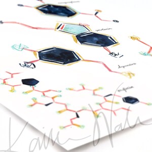 Happy Hormones Watercolor Poster - Neurology Art - Gift for ...