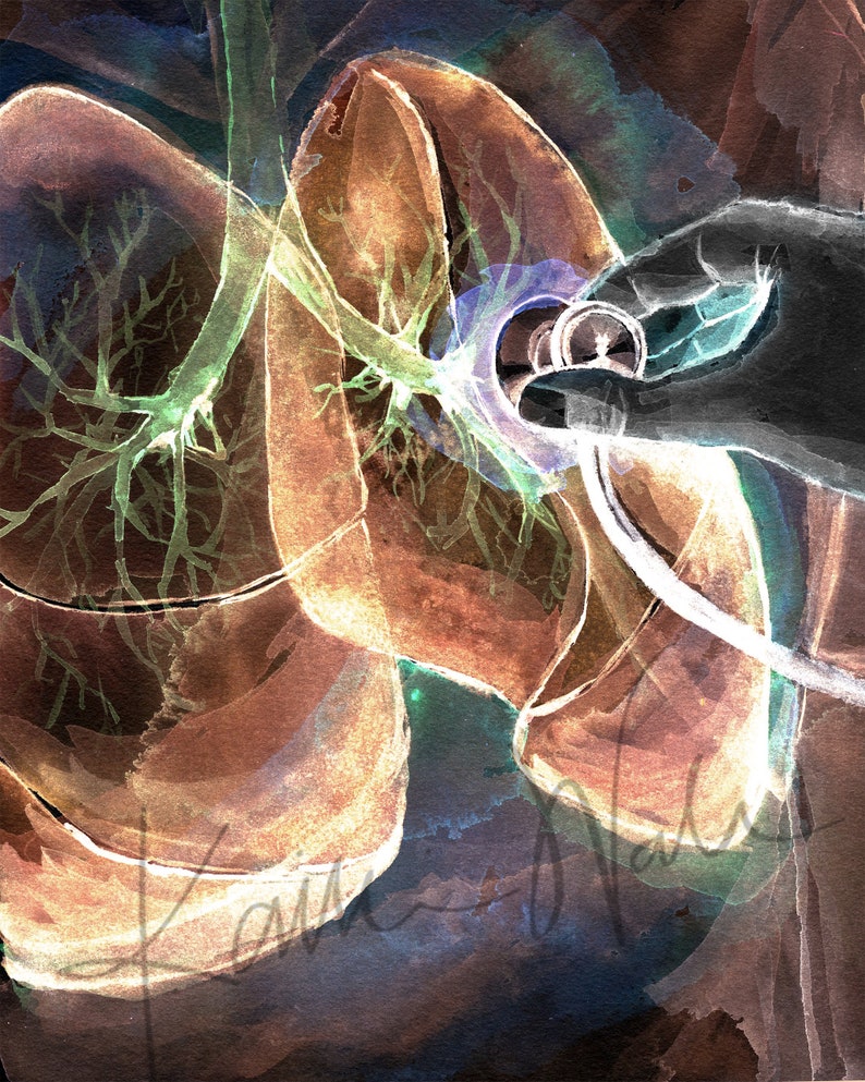 Lung Auscultation Watercolor Print - Lung Art - Pulmonary Art ...