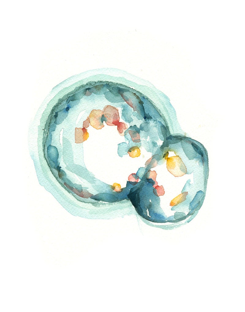 Embryo Art