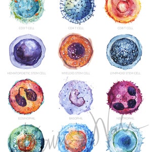 Cells Watercolor Poster Cell Paintings Blood Cells - Etsy