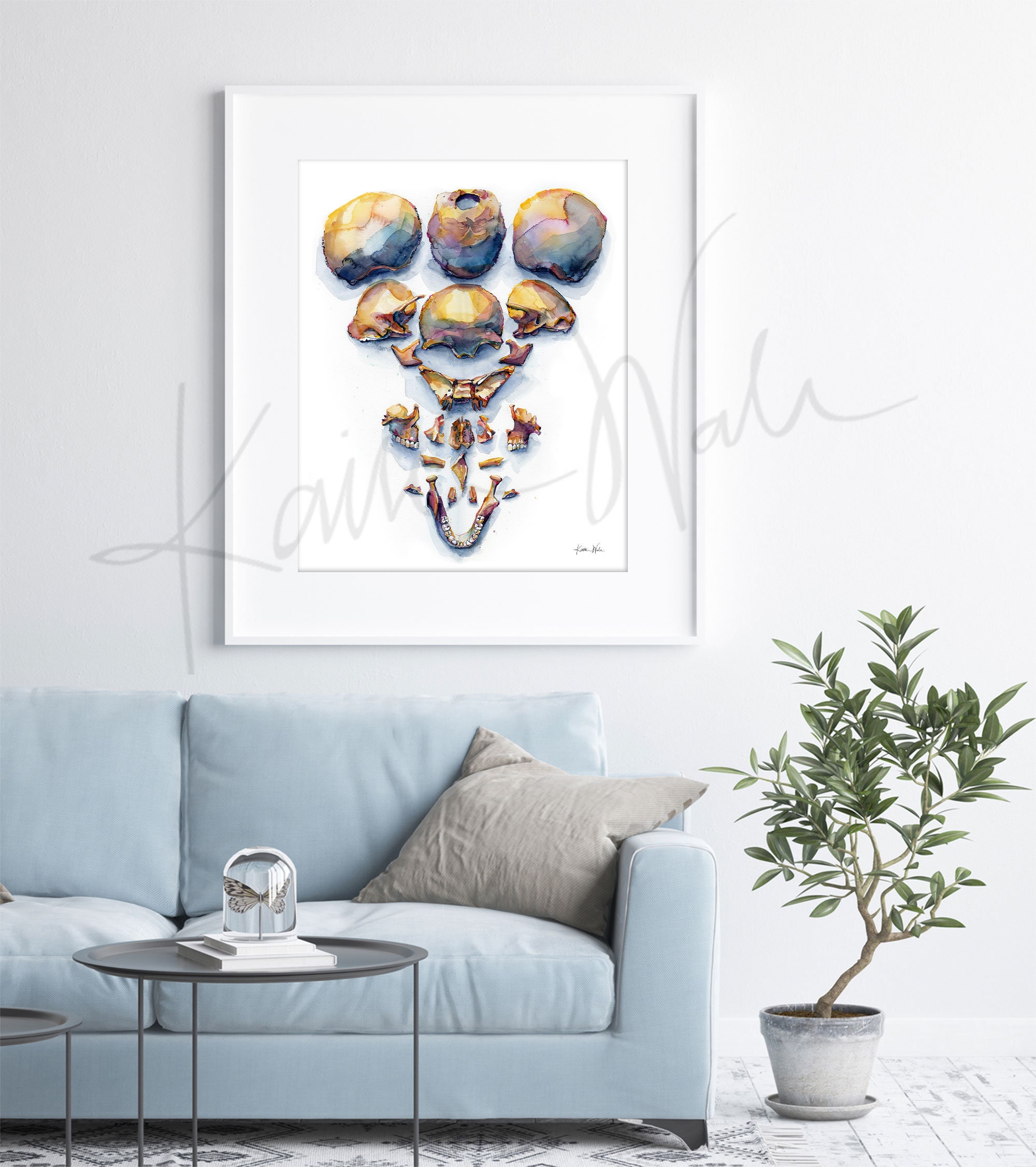 Exploded View of Skull I Watercolor Print - Skull Art - Bones ...