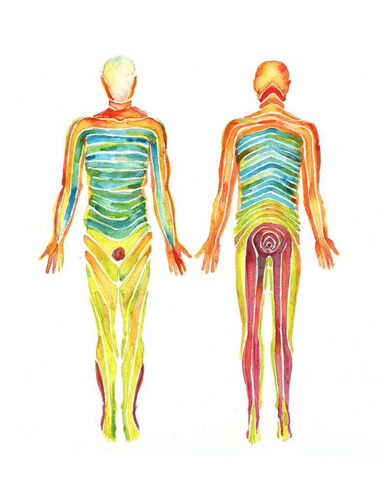 Dermatomes Watercolor Print in Red Green Blue Nervous System | Etsy