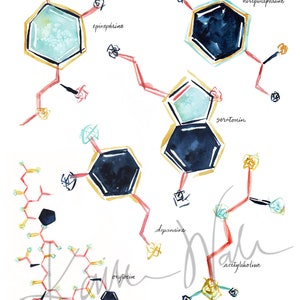 Happy Hormones Watercolor Poster - Neurology Art - Gift for ...
