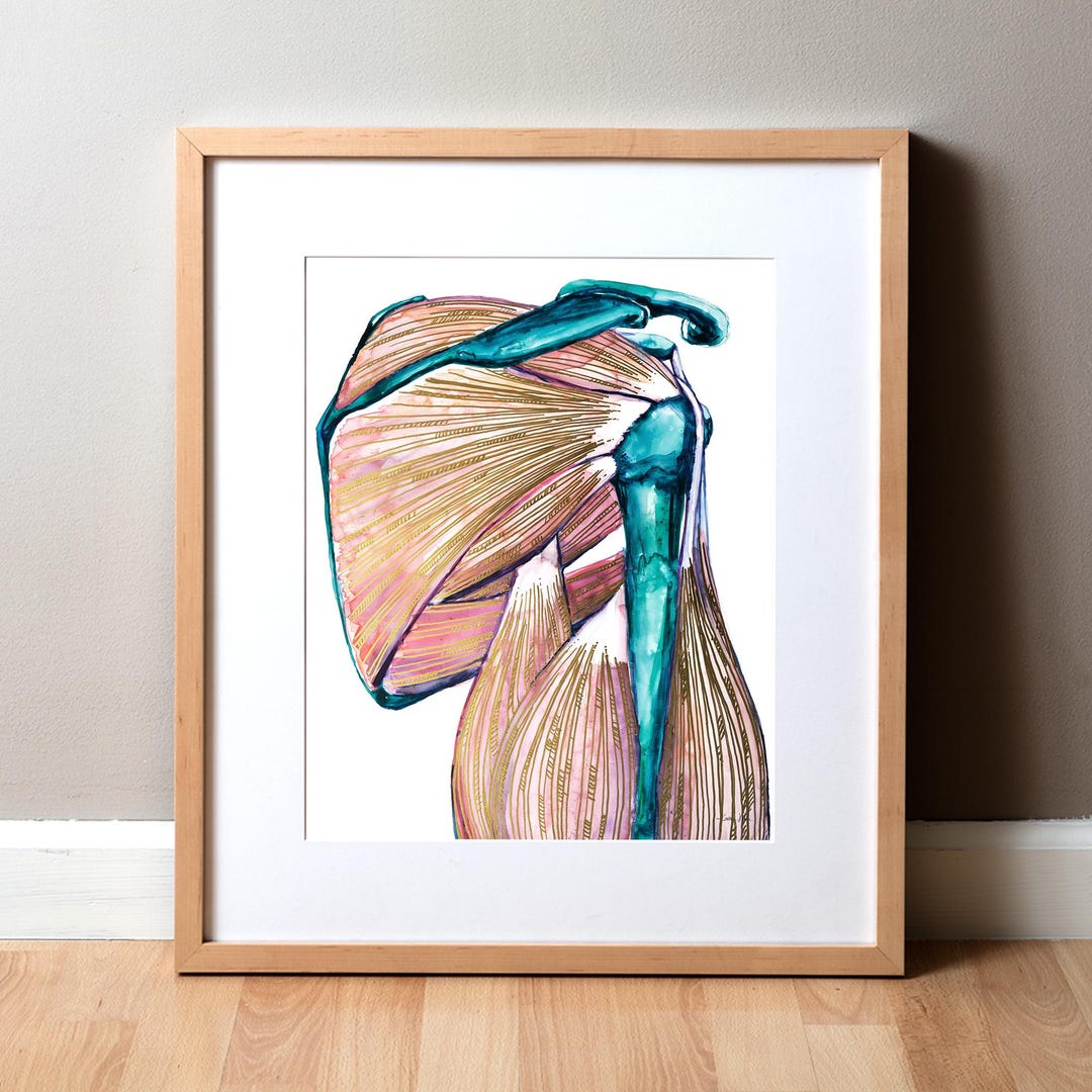 Gilded Shoulder Joint Watercolor Print - Muscle Painting - Labeled ...