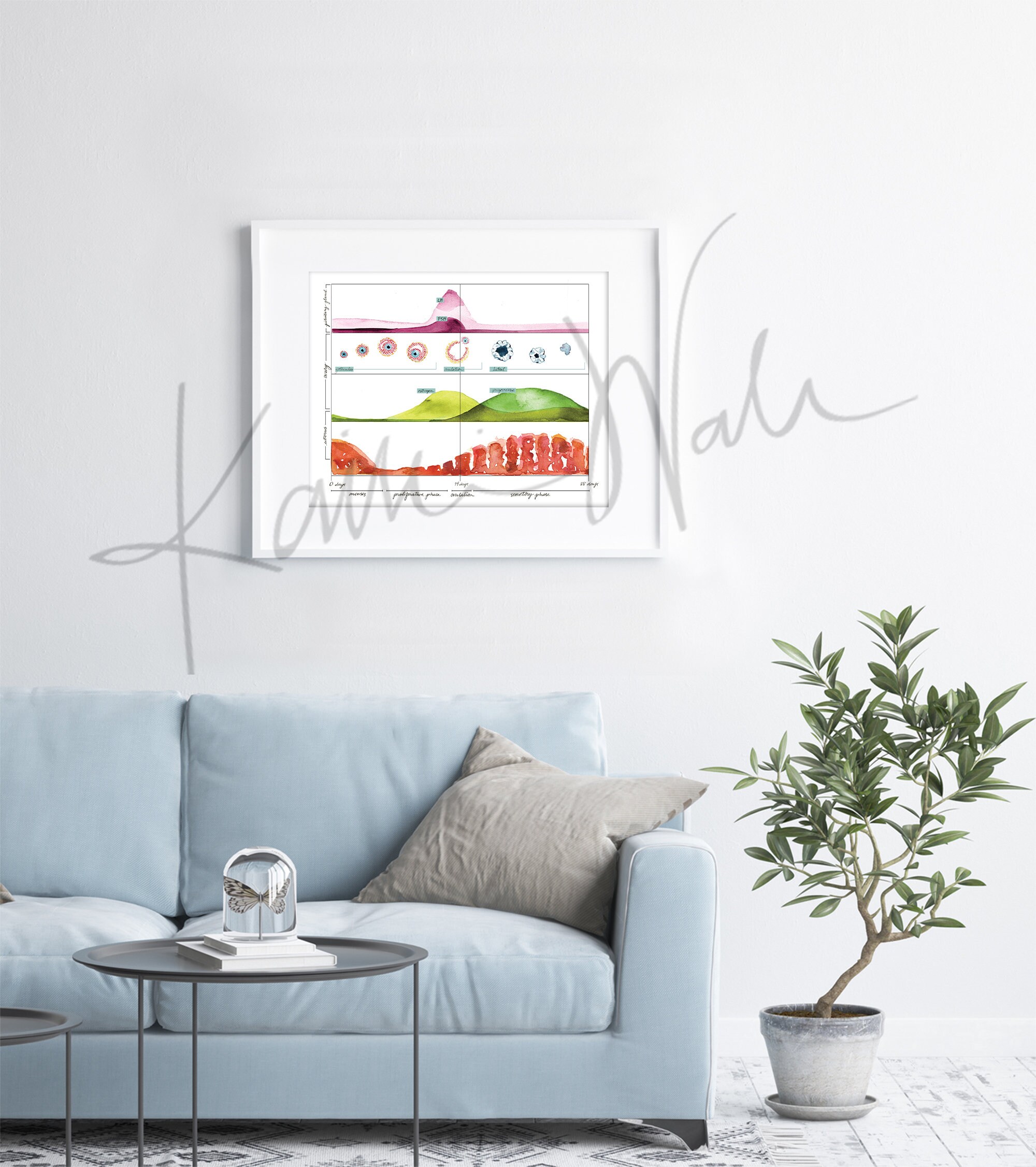 Menses Cycle II Watercolor Art Print - Menstrual Chart - OBGYN Art ...