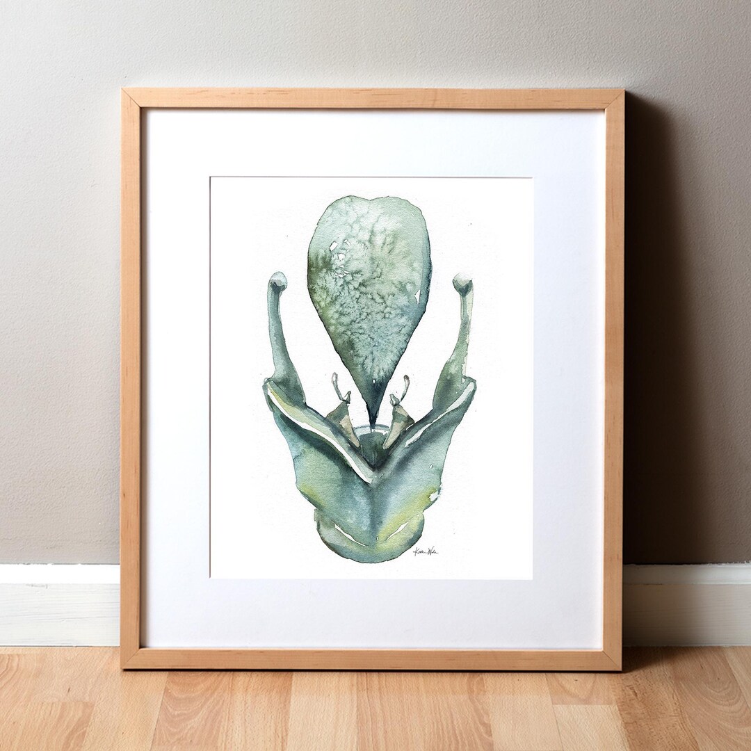 Cartilage of the Larynx Watercolor Print - Larynx Watercolor - Speech ...