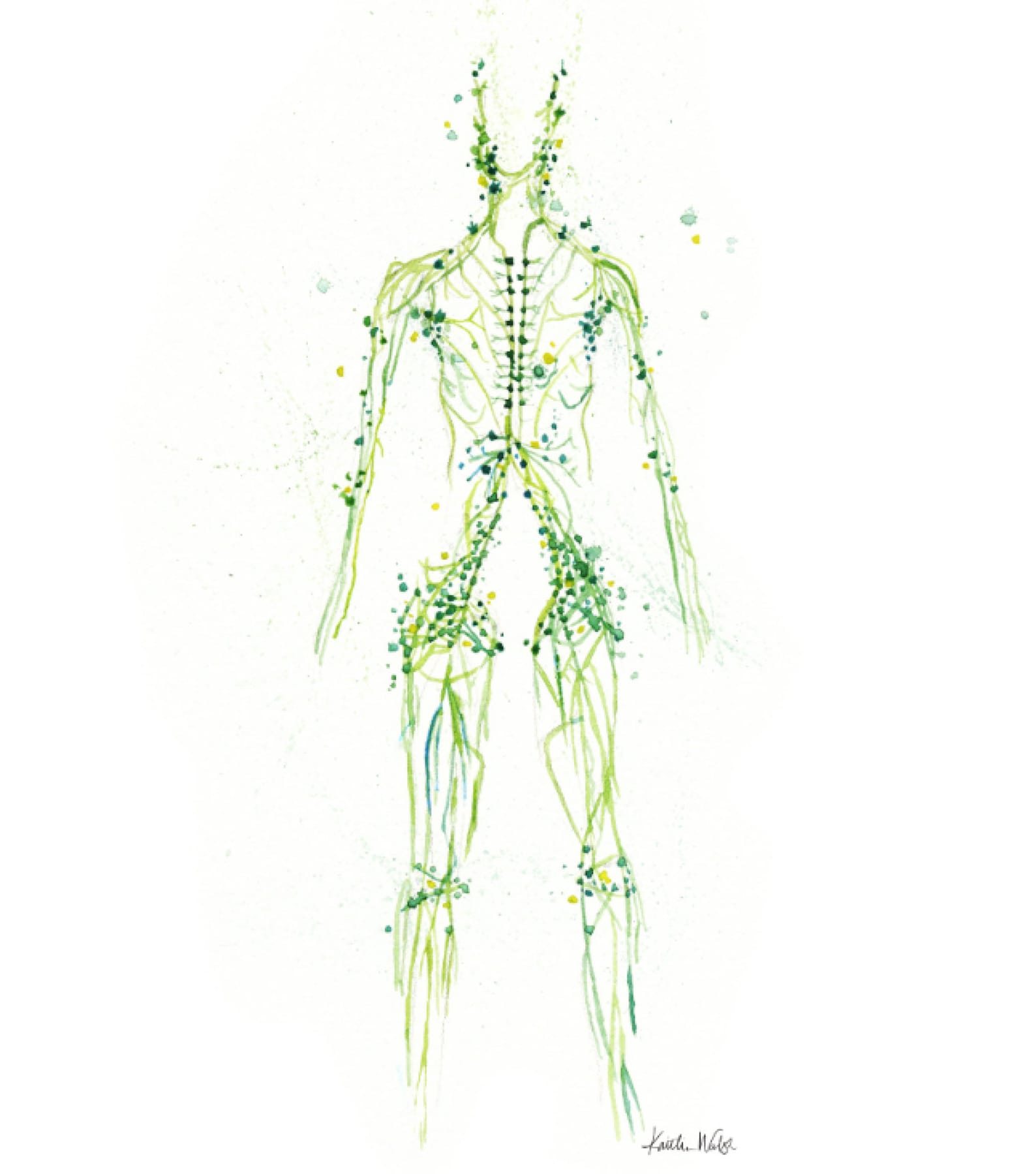 Lymphatic System Watercolor Print Body System Watercolor | Etsy