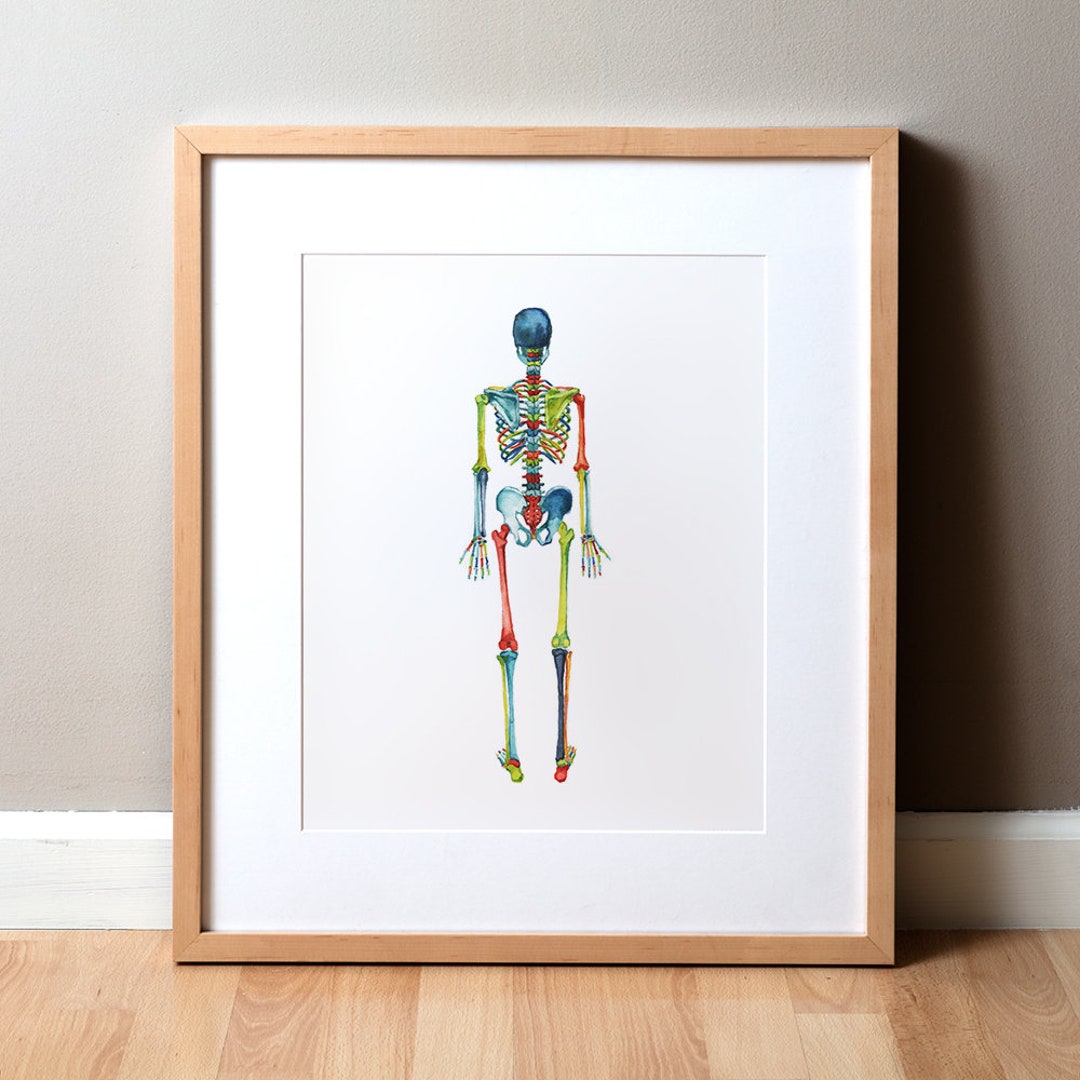 Skeletal System Watercolor Print in Red Green Blue - Body System ...