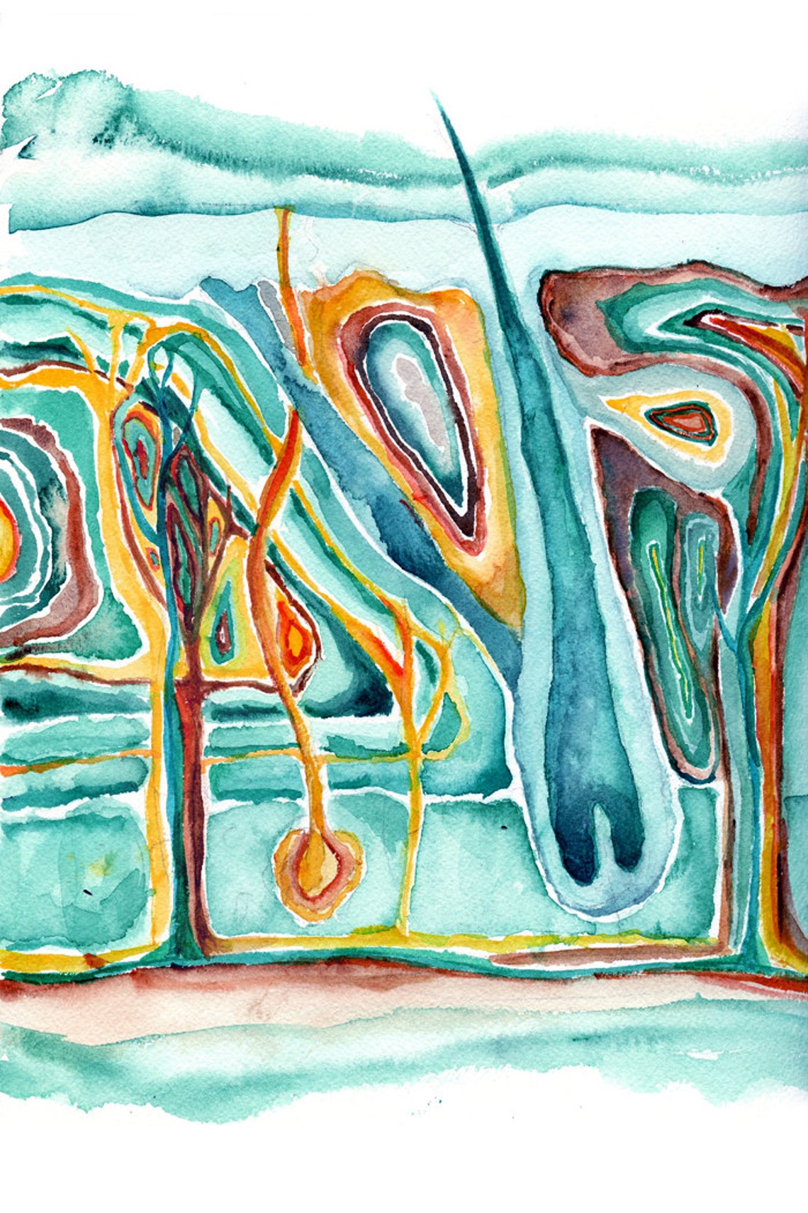 Cross Section of the Skin Watercolor Art Print Integumentary | Etsy