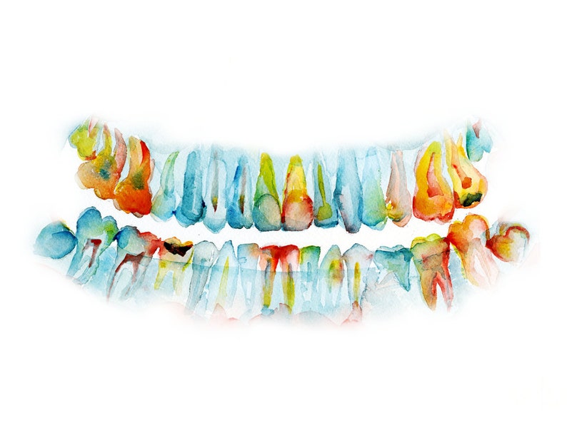 Pan X Ray Teeth Watercolor Art Print - Dental Anatomy Watercolor Art ...