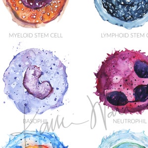 Cells Watercolor Poster - Cell Paintings - Blood Cells - Hematology Art ...