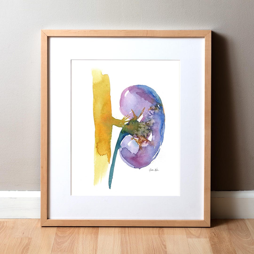 Bright Kidney Watercolor Print - Anatomical Kidney Art - Nephrology Art ...