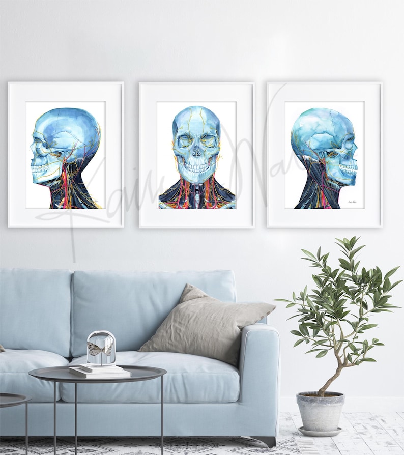 Skull and Neck Anatomy Watercolor Print Set of Three - Skull Art - ENT ...