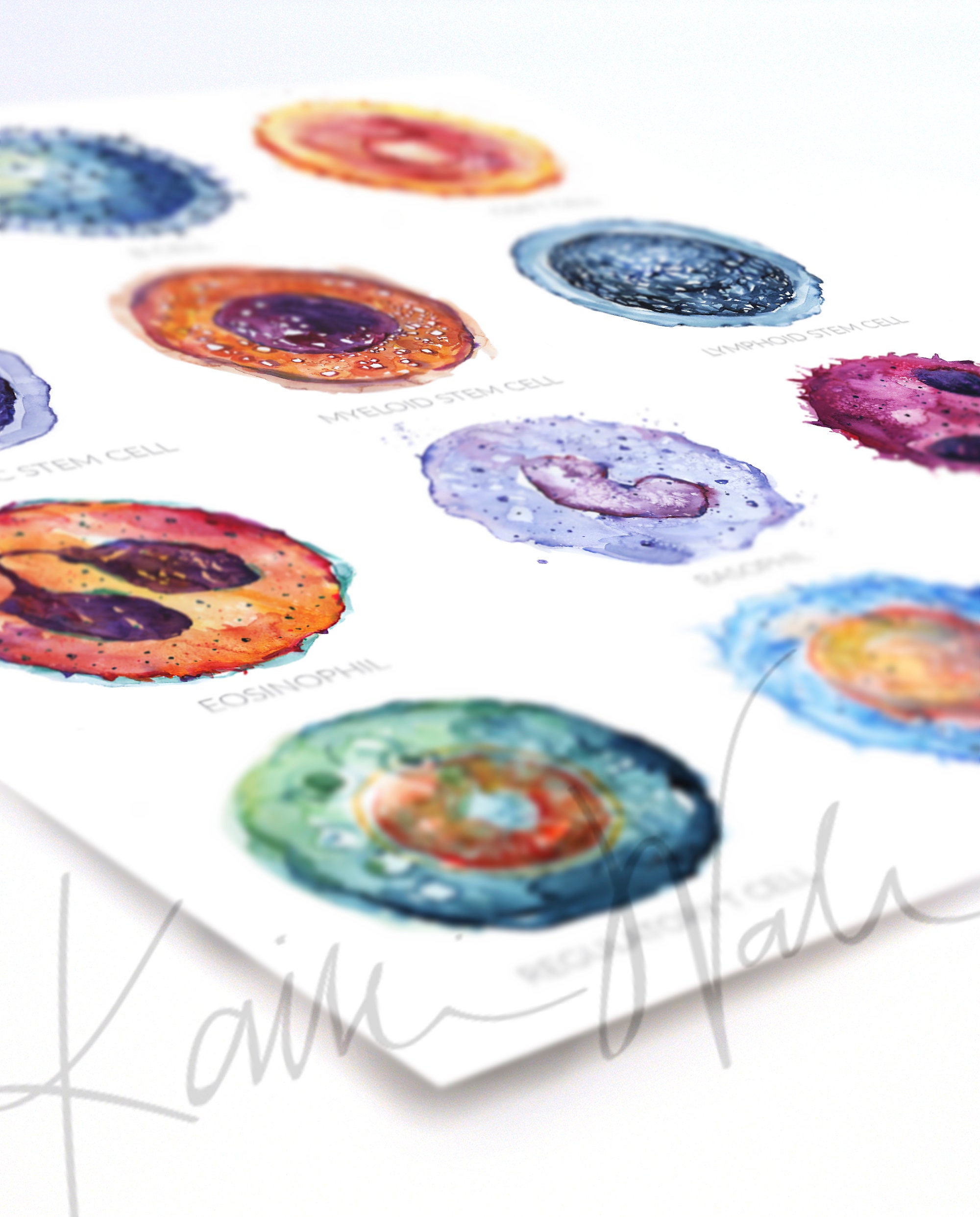 Cells Watercolor Poster - Cell Paintings - Blood Cells - Hematology Art ...