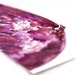 Pink Mammogram Watercolor Print - Breast Art Print - Abstract Anatomy ...